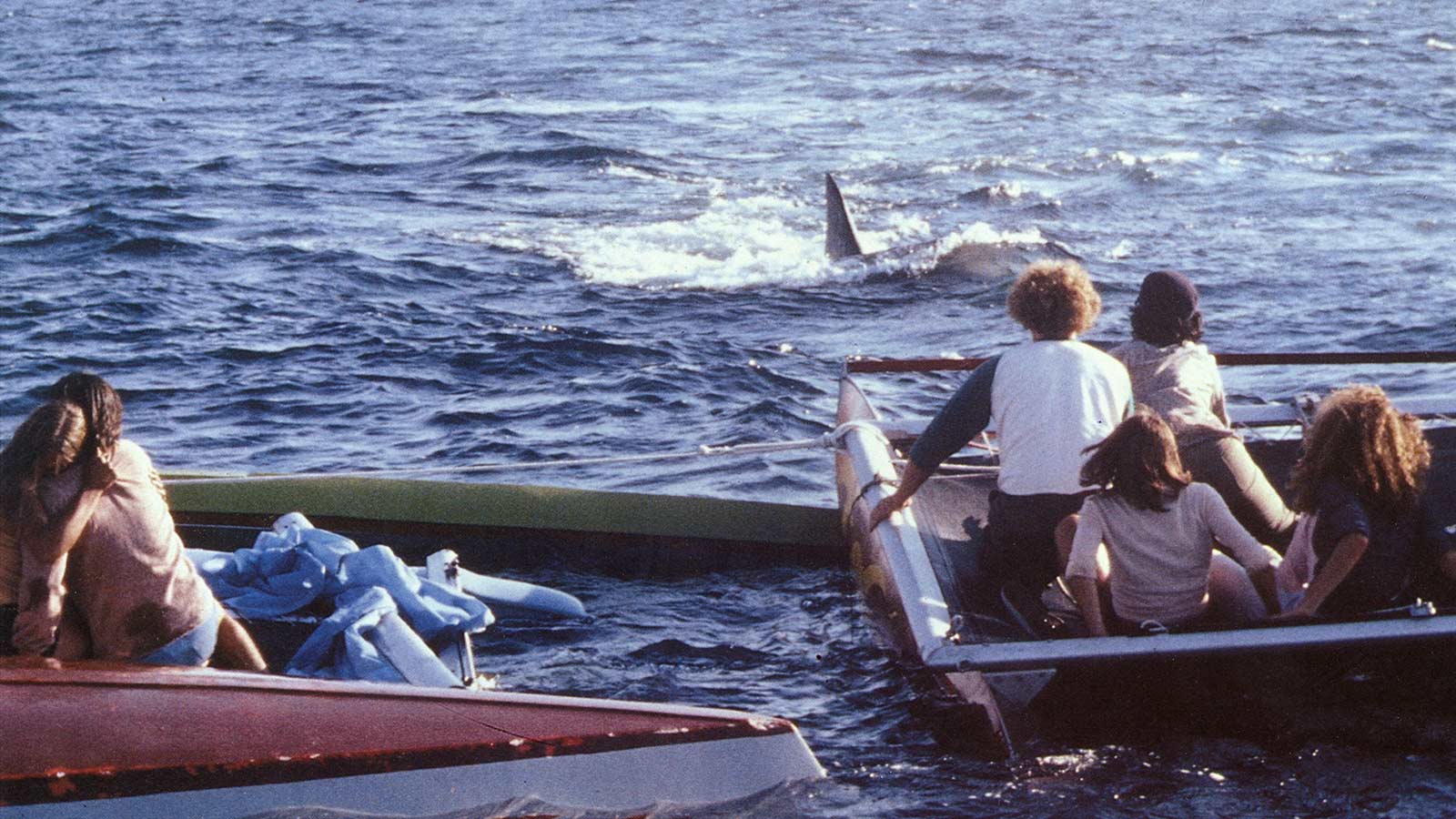 Jaws2-1600x900.jpg | TNTdrama.com